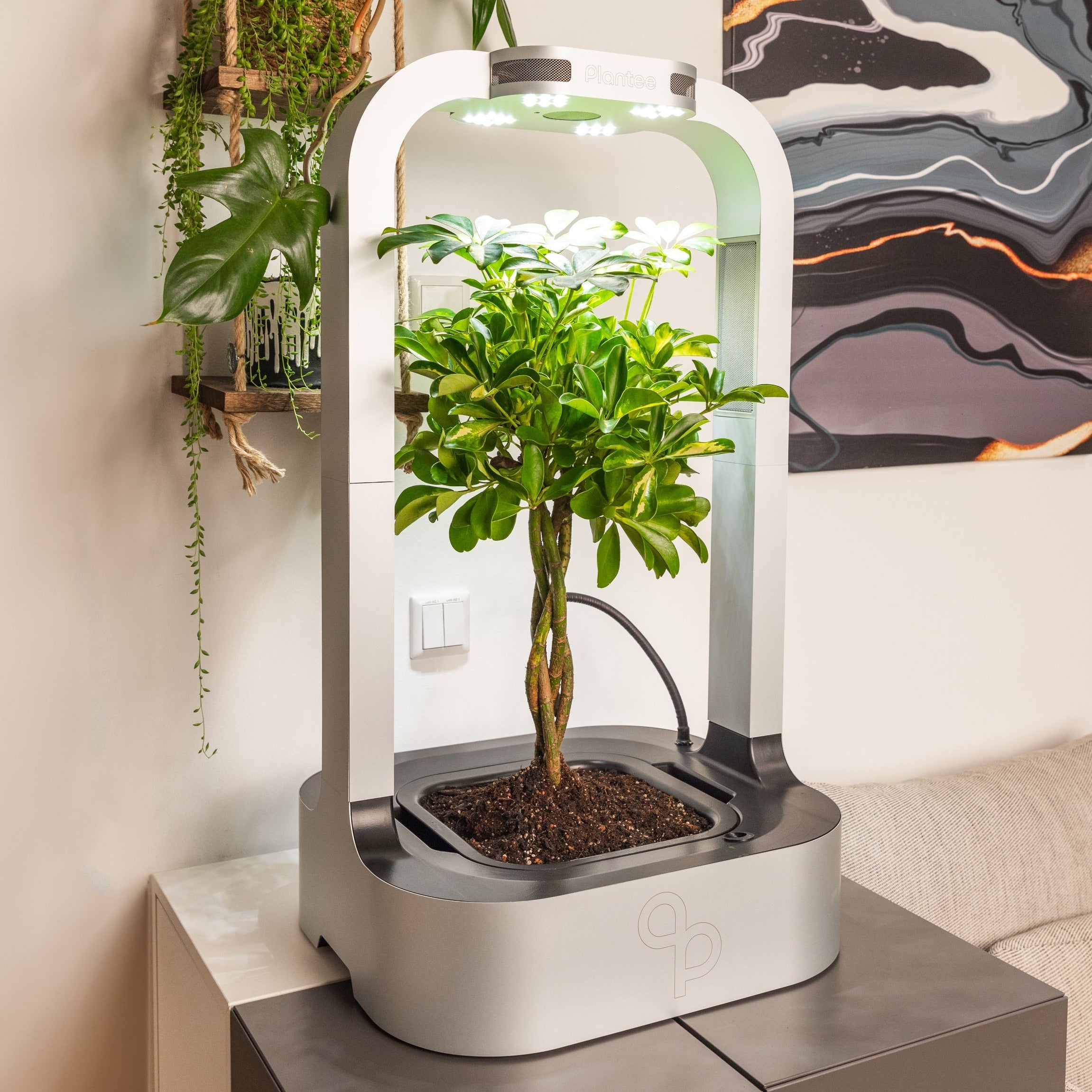 Plantee ONE - the Smart Indoor Greenhouse– Plantee Innovations