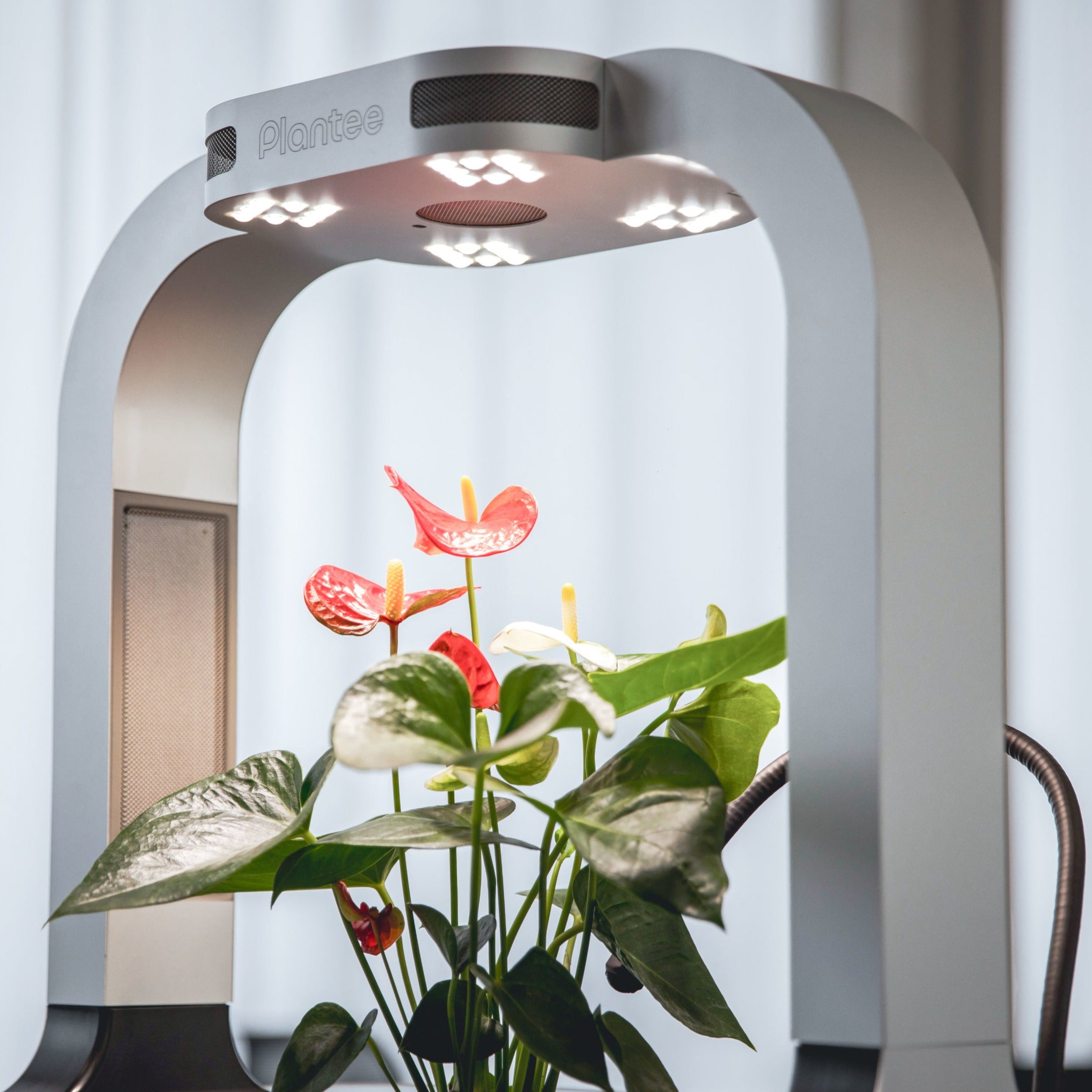 Plantee ONE - the Smart Indoor Greenhouse– Plantee Innovations